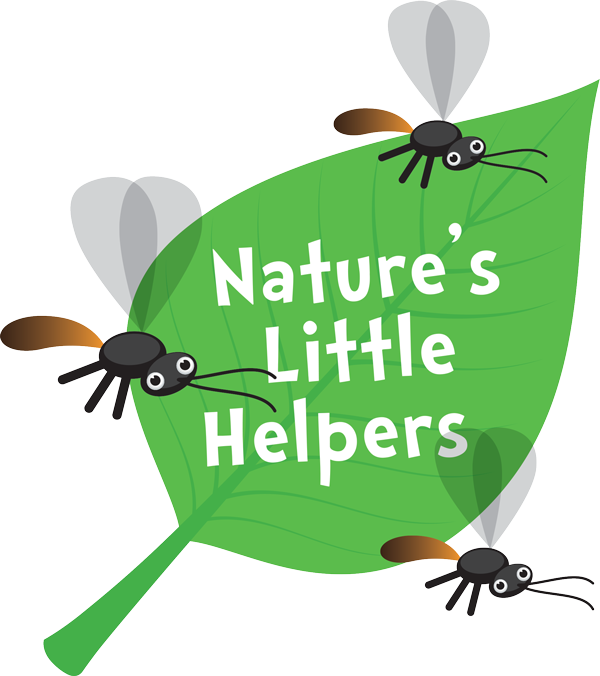 natureslittlehelpers.info | natureslittlehelpers